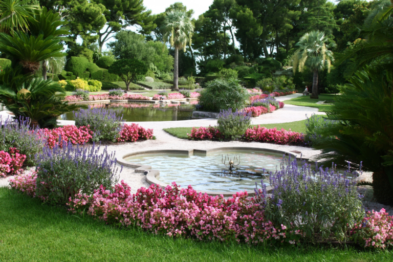 Transforming Your Garden Into A Lush Oasis: A Comprehensive Guide - Huliq